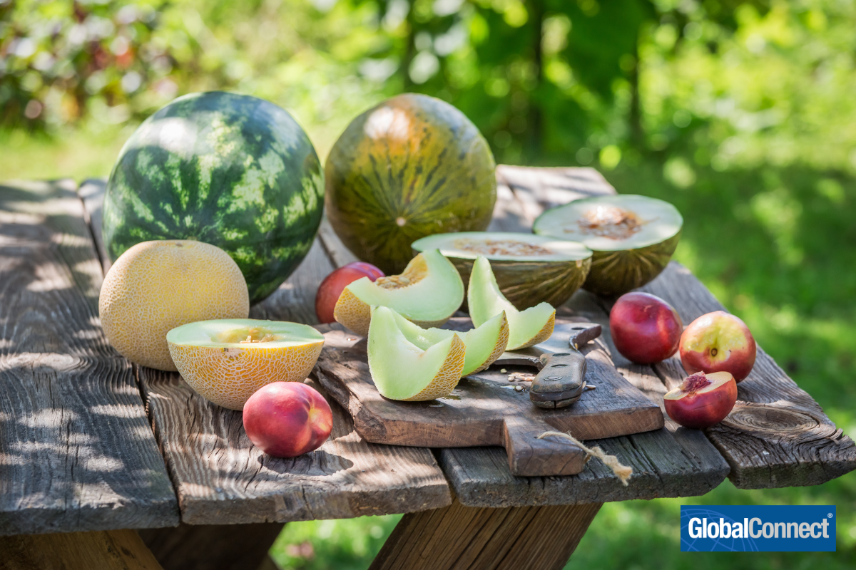 The Best Fruits and Vegetables for Hydration